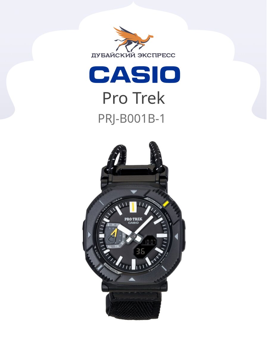  CASIO