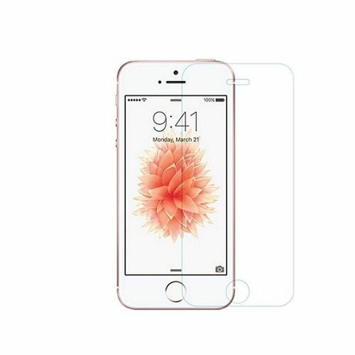 Защитное стекло для iPhone 5 / 5S / 5C / SE Микки Бич