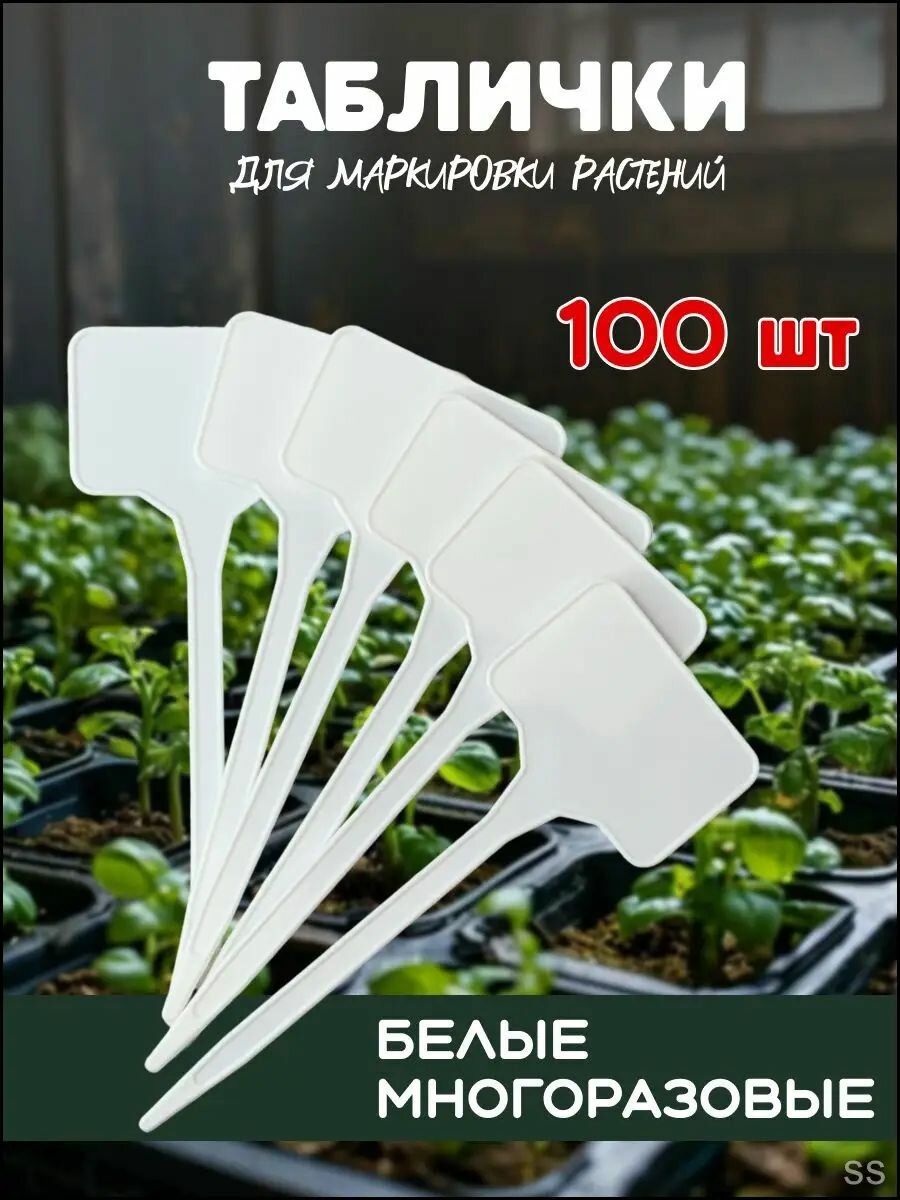 Таблички для рассады 100 шт, пластиковые белые, многоразовые, для маркировки растений, садовые бирки 15 см