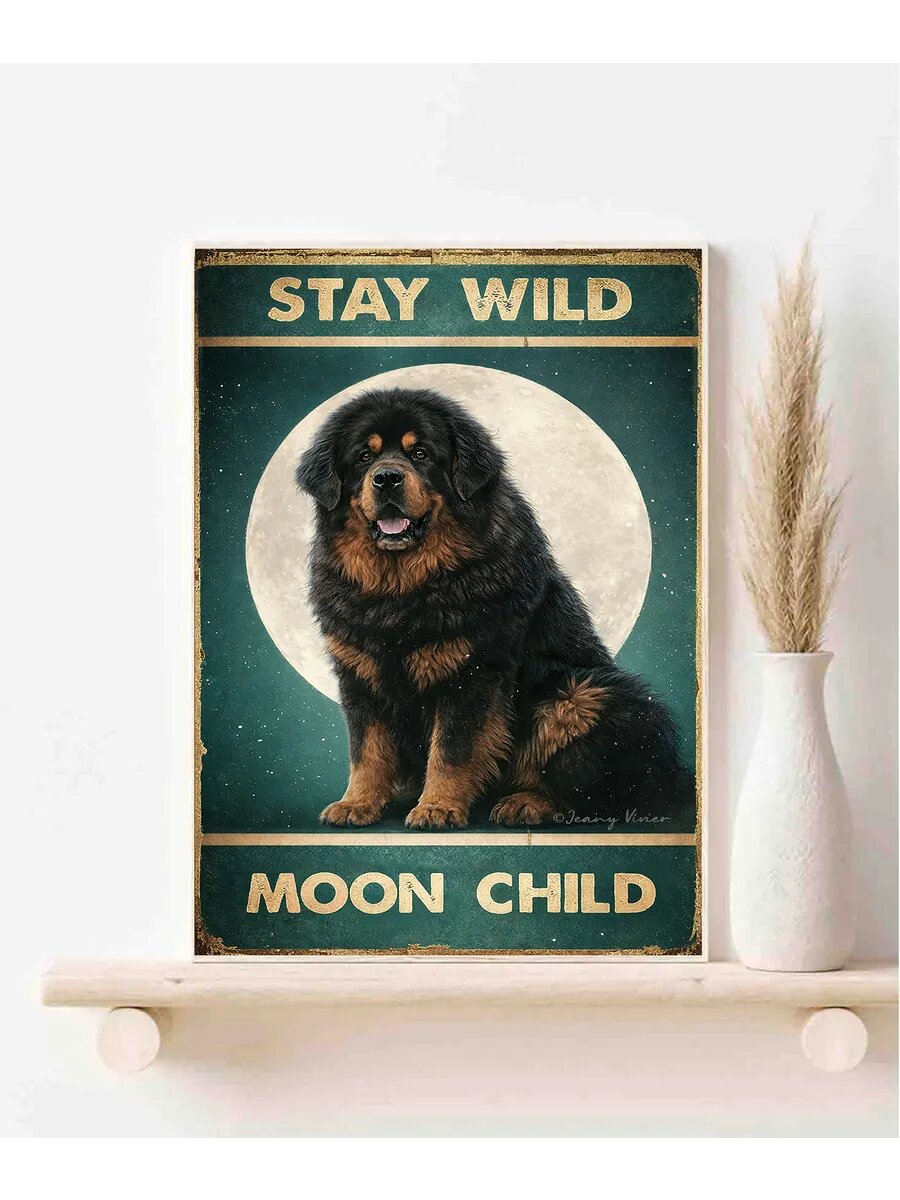 Тибетский мастиф, Stay Wild Moon Child, Плакат 30x42см