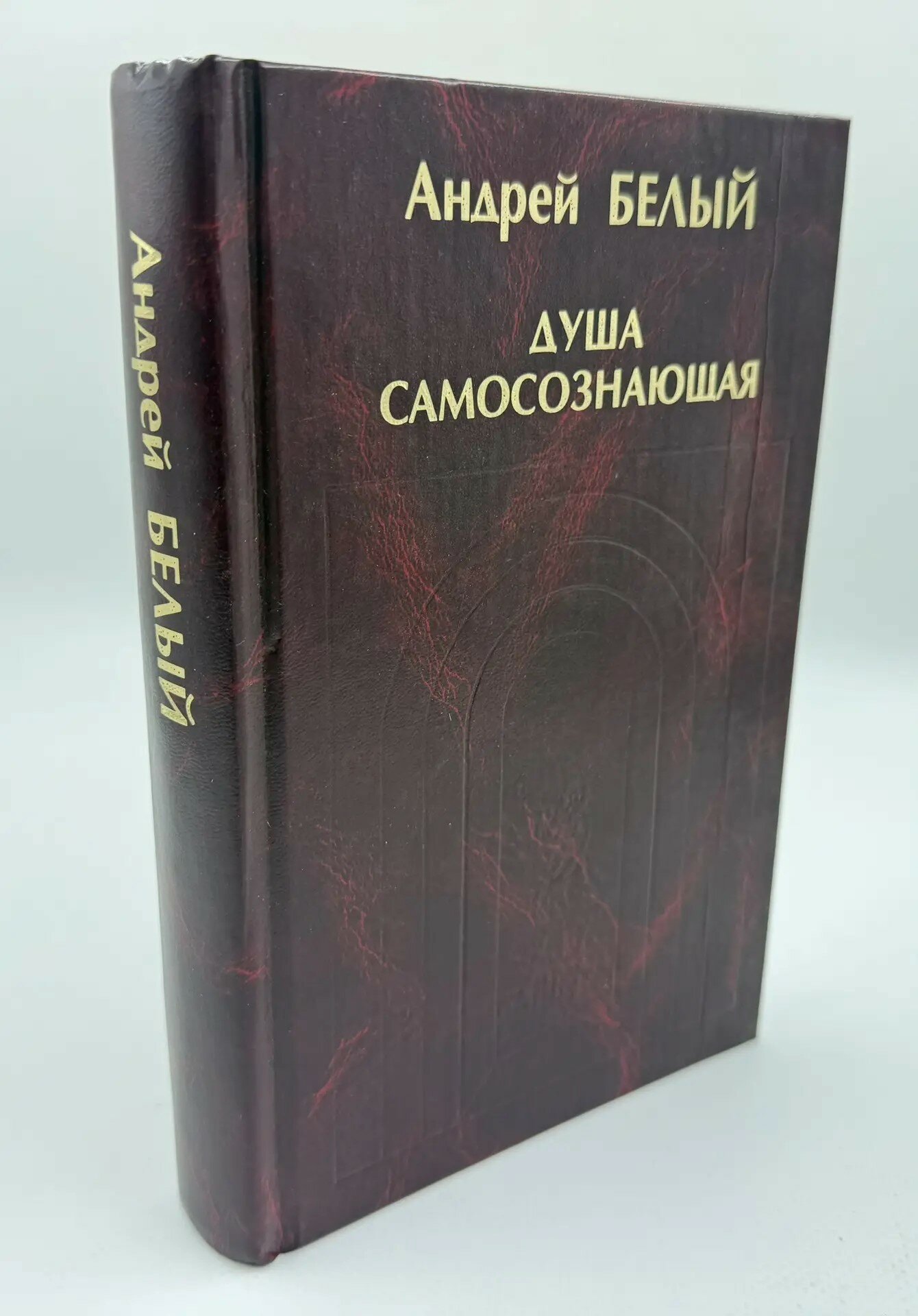 Душа самосознающая