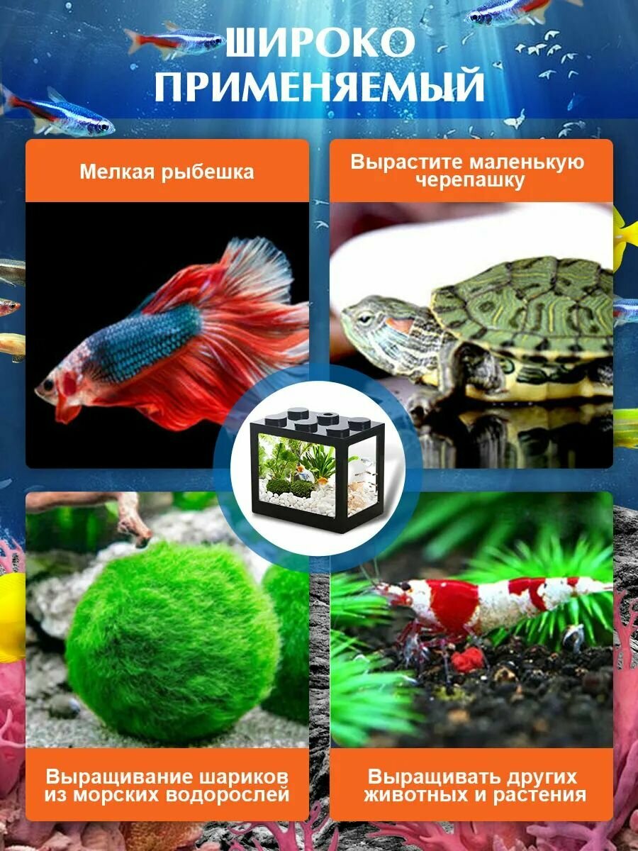 Мини-аквариум — фото 1
