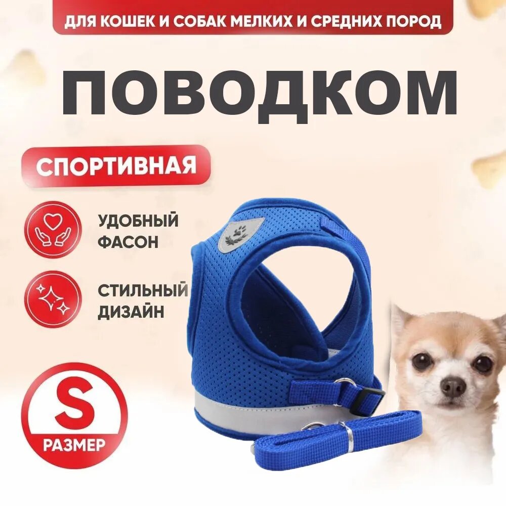 Шлейка для собак мелких пород и кошек с поводком Mirestra, синяя, размер S