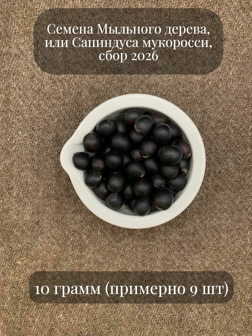 Семена Мыльного дерева, или или Сапиндуса мукоросси, 10 грамм (примерно 9 шт)