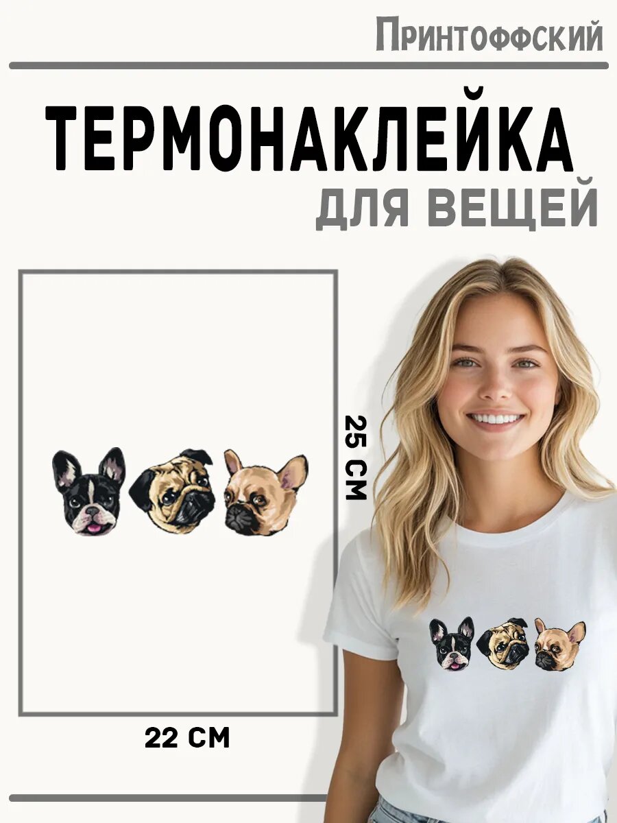 Термонаклейка для одежды и аксессуаров DTF-печать мопс собака — фото 1