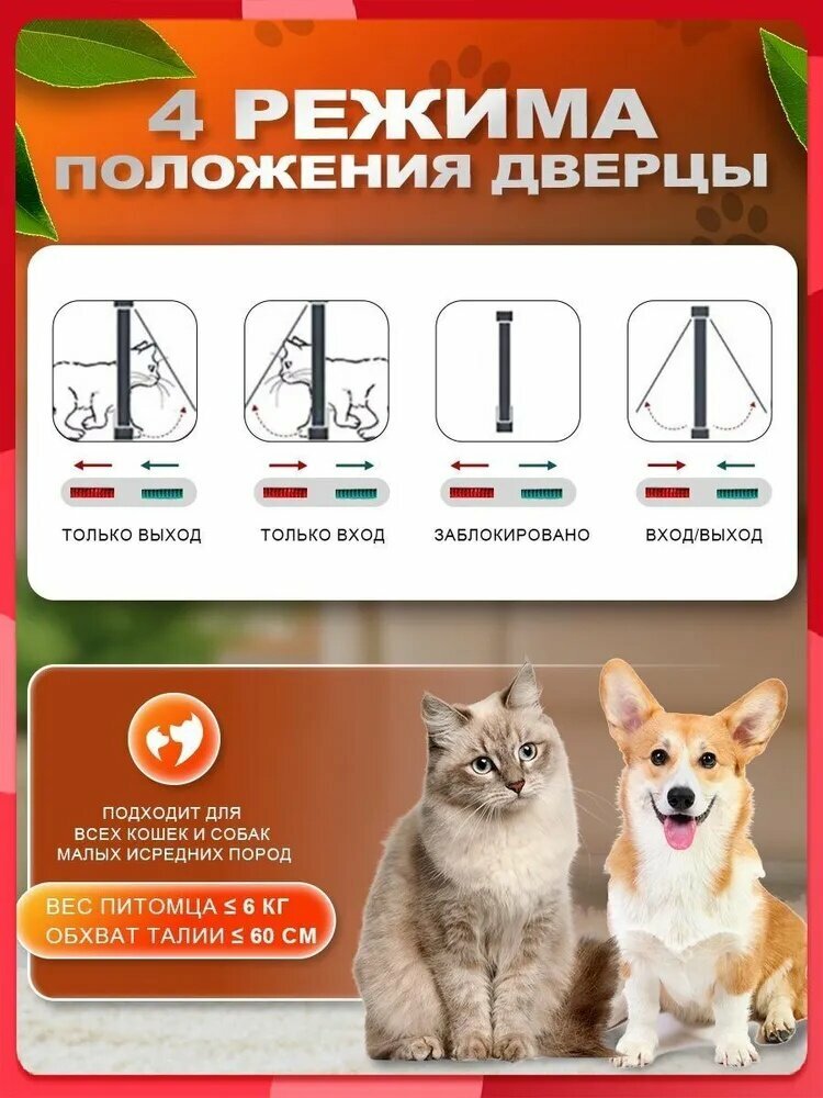 Дверца для животных — фото 1