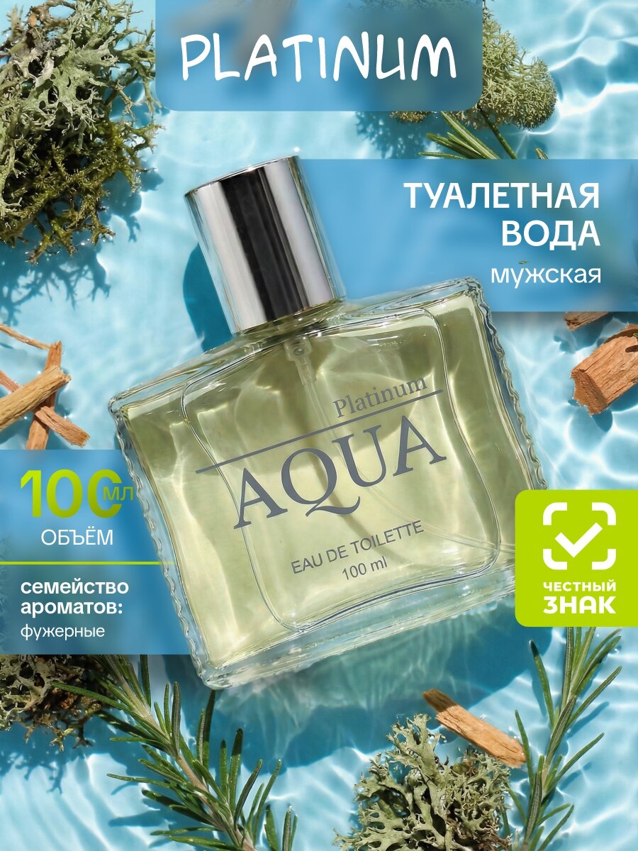 Туалетная вода мужская фужерная Delta Parfum Aqua Platinum 100мл