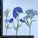 Сушеные цветы Delphinium, 2 веточки, синие