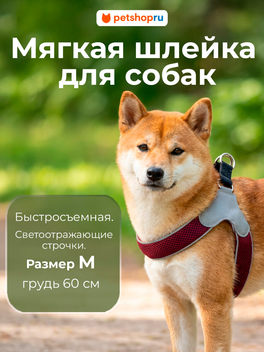 PETSHOP Шлейка для собак мягкая "Спайк" M, винная