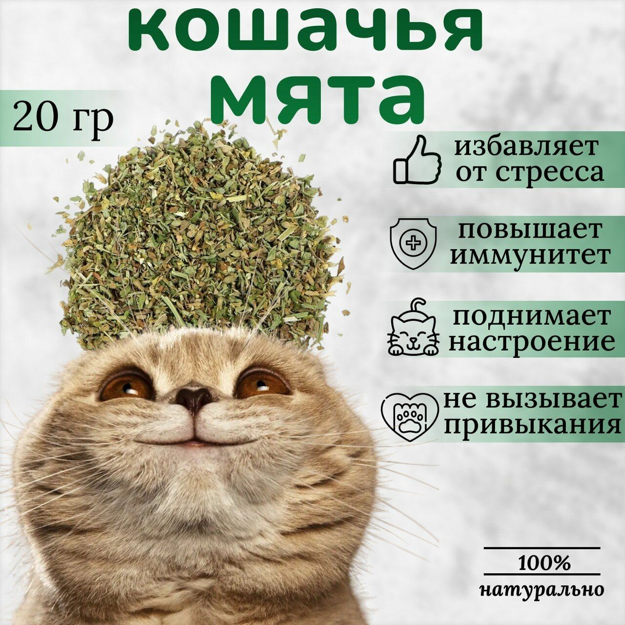 Кошачья мята 20 грамм - Котовник сушенная трава. Лакомство для коррекции поведения, успокоительное, антистресс. Мята для когтеточки, лежака или места. сушеная мята для кошек для когтеточки для лежака