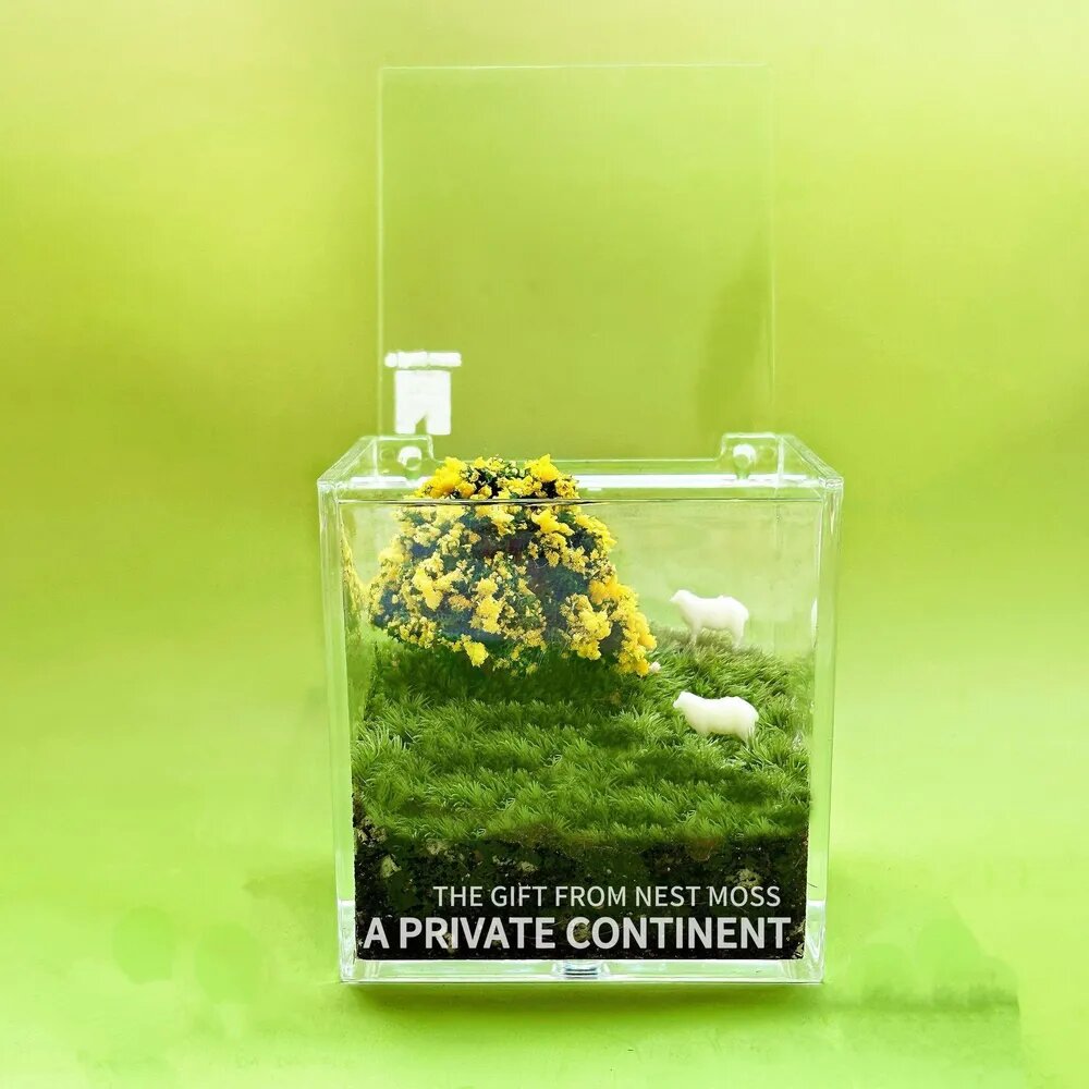 Маленький мир мха: Приватный континент Микроландшафт с мхом, NEST.MOSS, 8x8 см