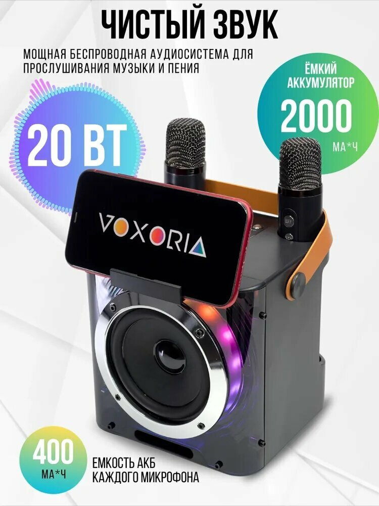 Караоке-система — фото 1