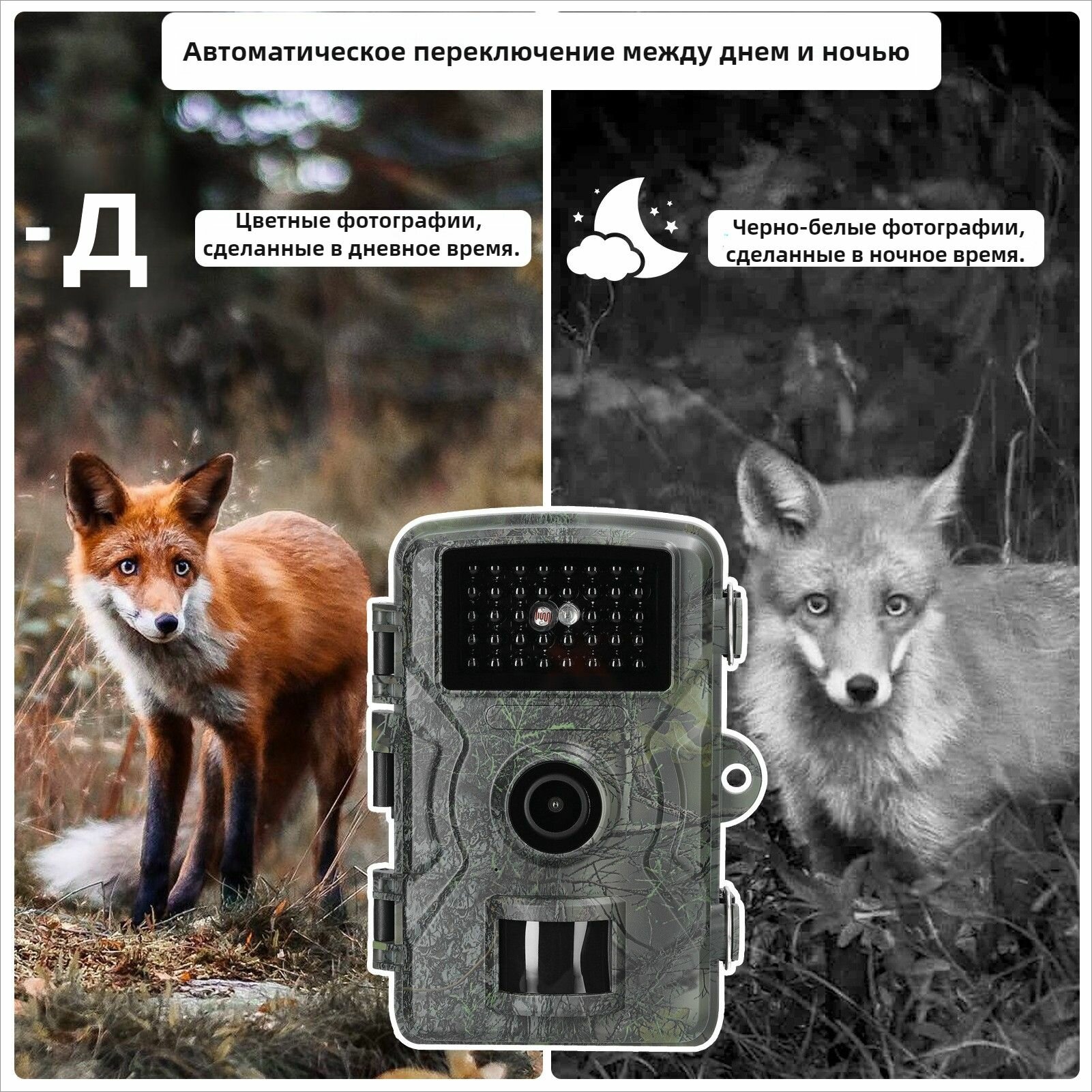 Фотоловушка для охоты — фото 1