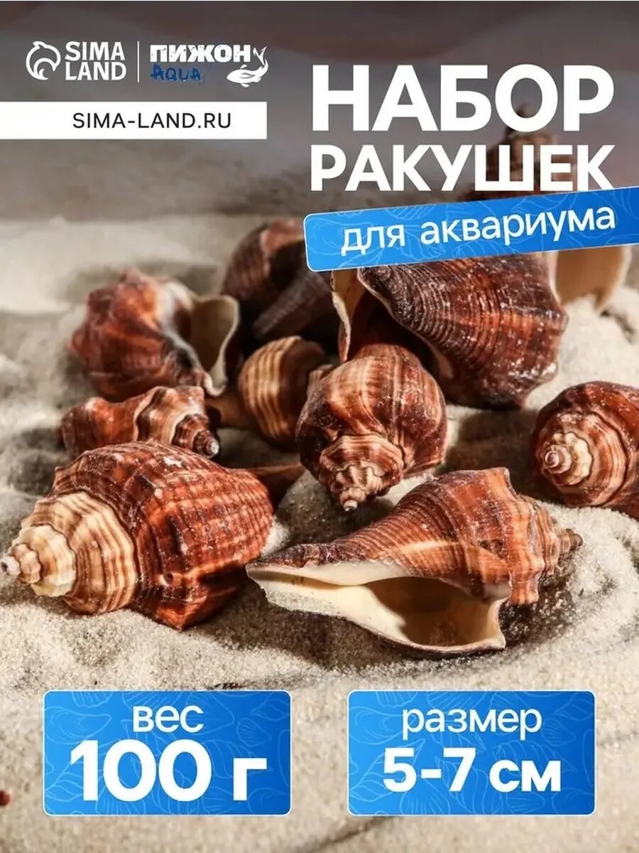 Набор натуральных ракушек для декора, 100 г