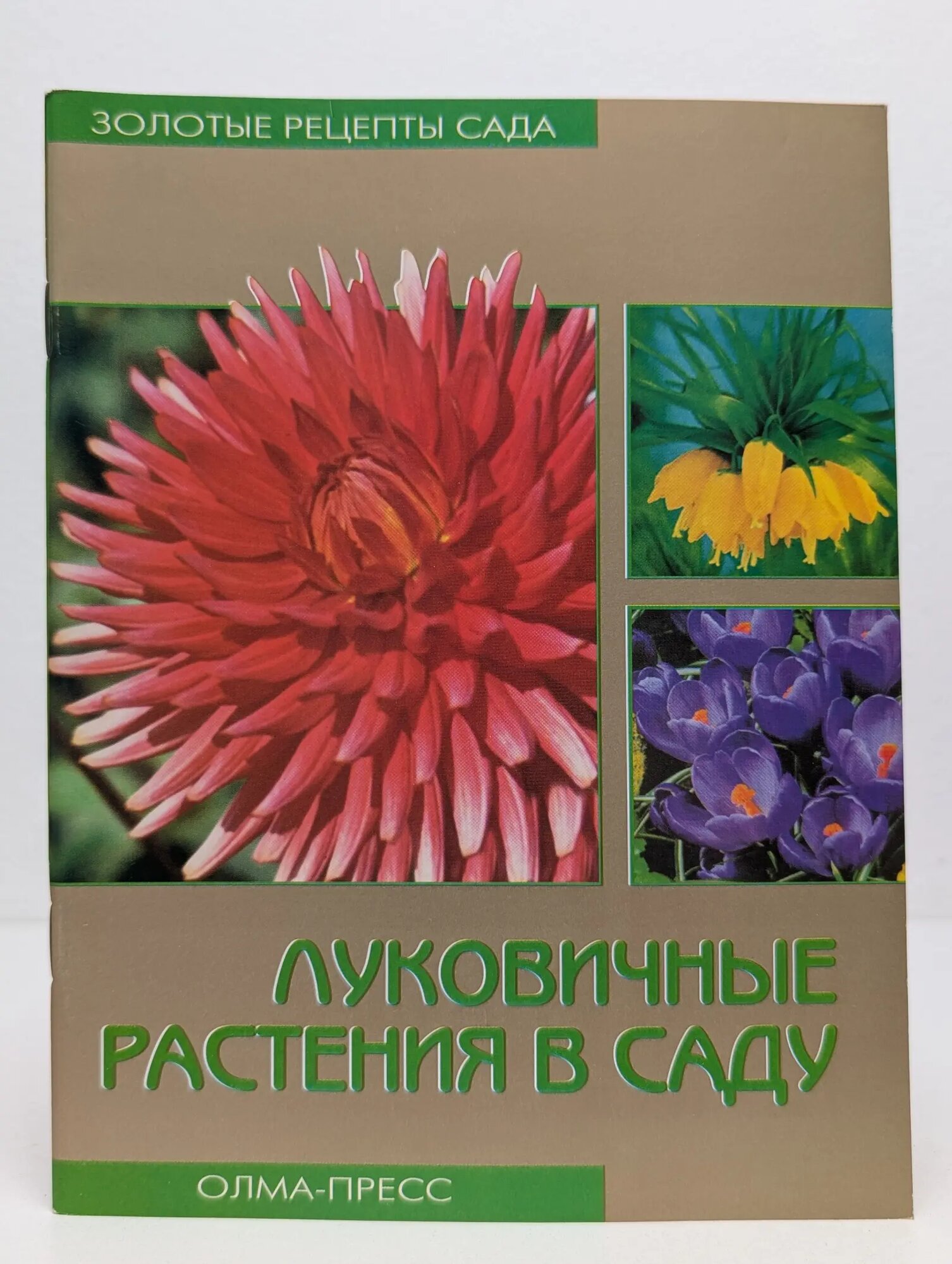 Золотые рецепты сада. Луковичные растения в саду Сербина Елена Николаевна 2003