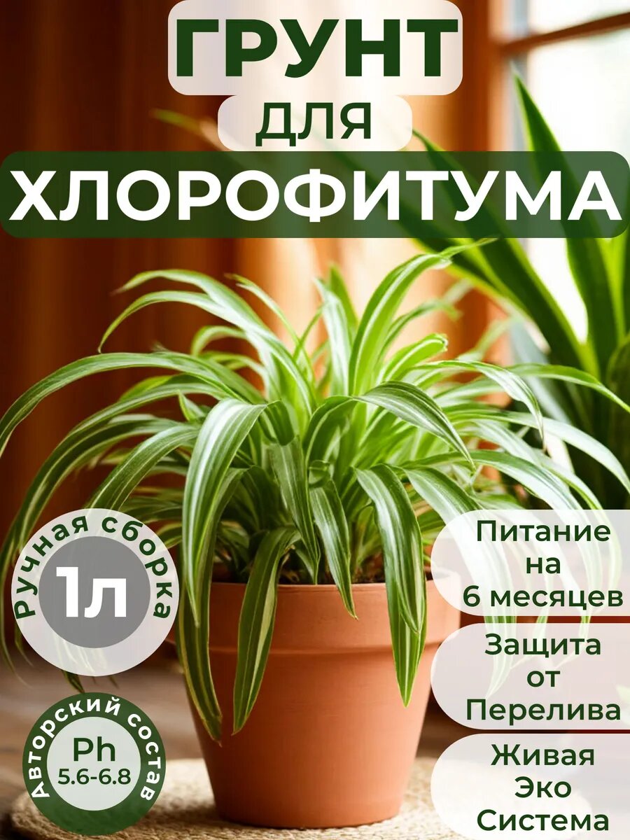 Готовый авторский грунт для Хлорофитума, премиум 1 литр