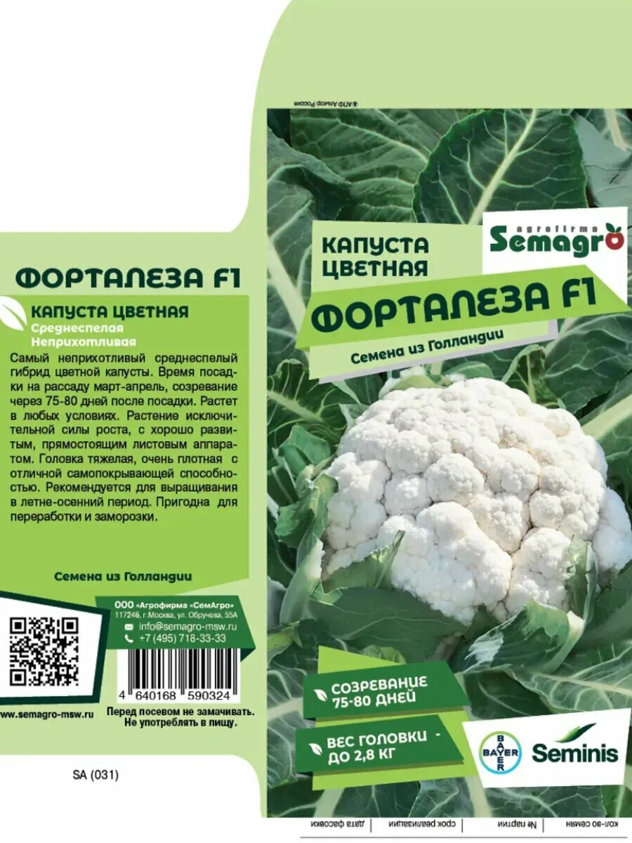 Семена капуста Форталеза — фото 1
