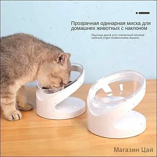 Стильная миска для животных прозрачная с наклоном