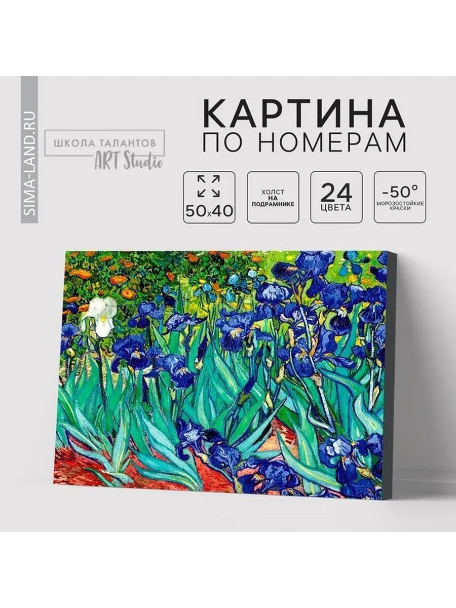 Картина по номерам «Ирисы» для творчества и подарка