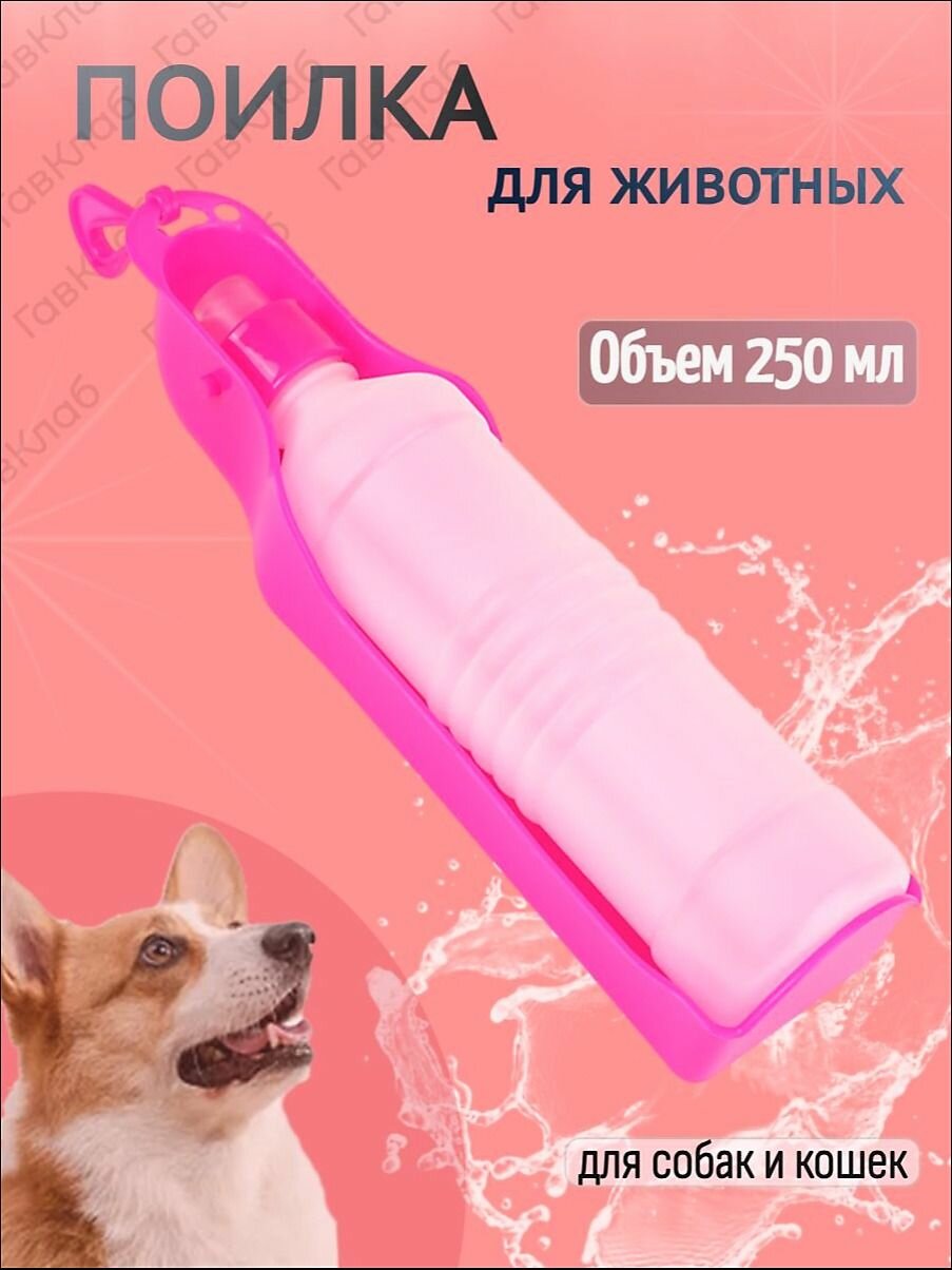 Поилка для животных "Прогулочная", дорожная, для собак, 250мл, пластик, розовая