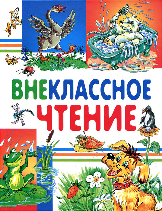Внеклассное чтение