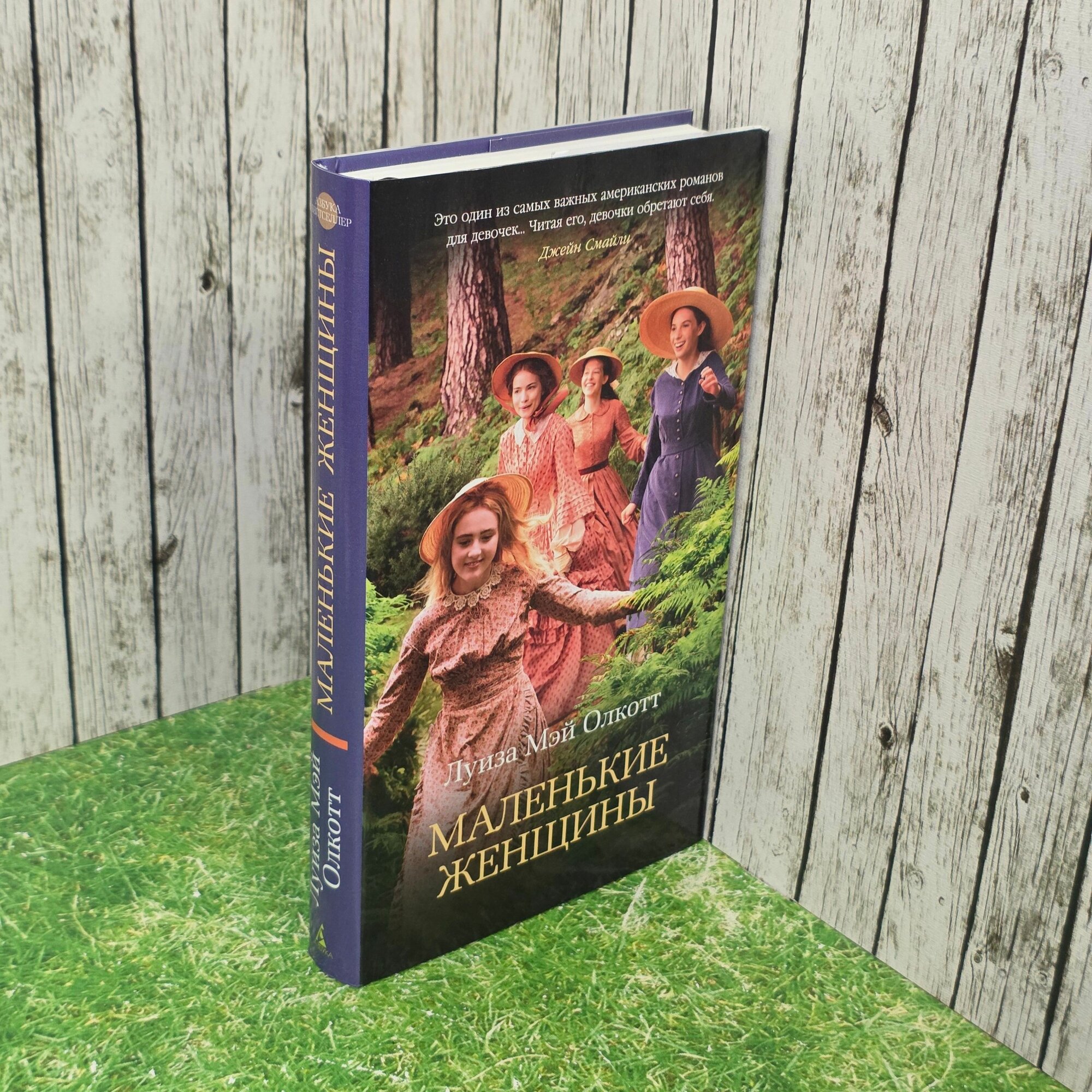 Книга " Маленькие женщины "