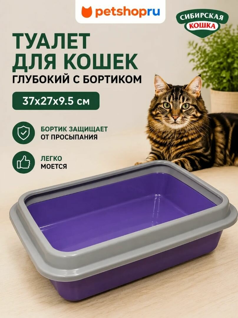 Туалет для кошек глубокий с бортиком, 37x27x9.5 см