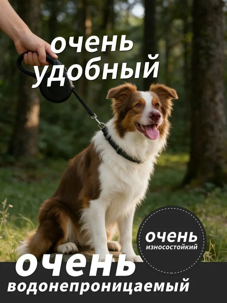 Весенний черный поводок для кошек и собак для дома и улицы