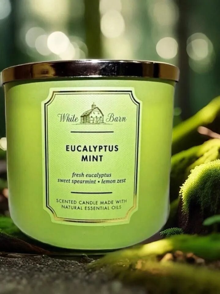 Bath and Body Works Свеча ароматическая "Eucaliptus Mint", 9 см х 10 см, 1 шт