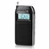 Радиоприемник Retekess PR12