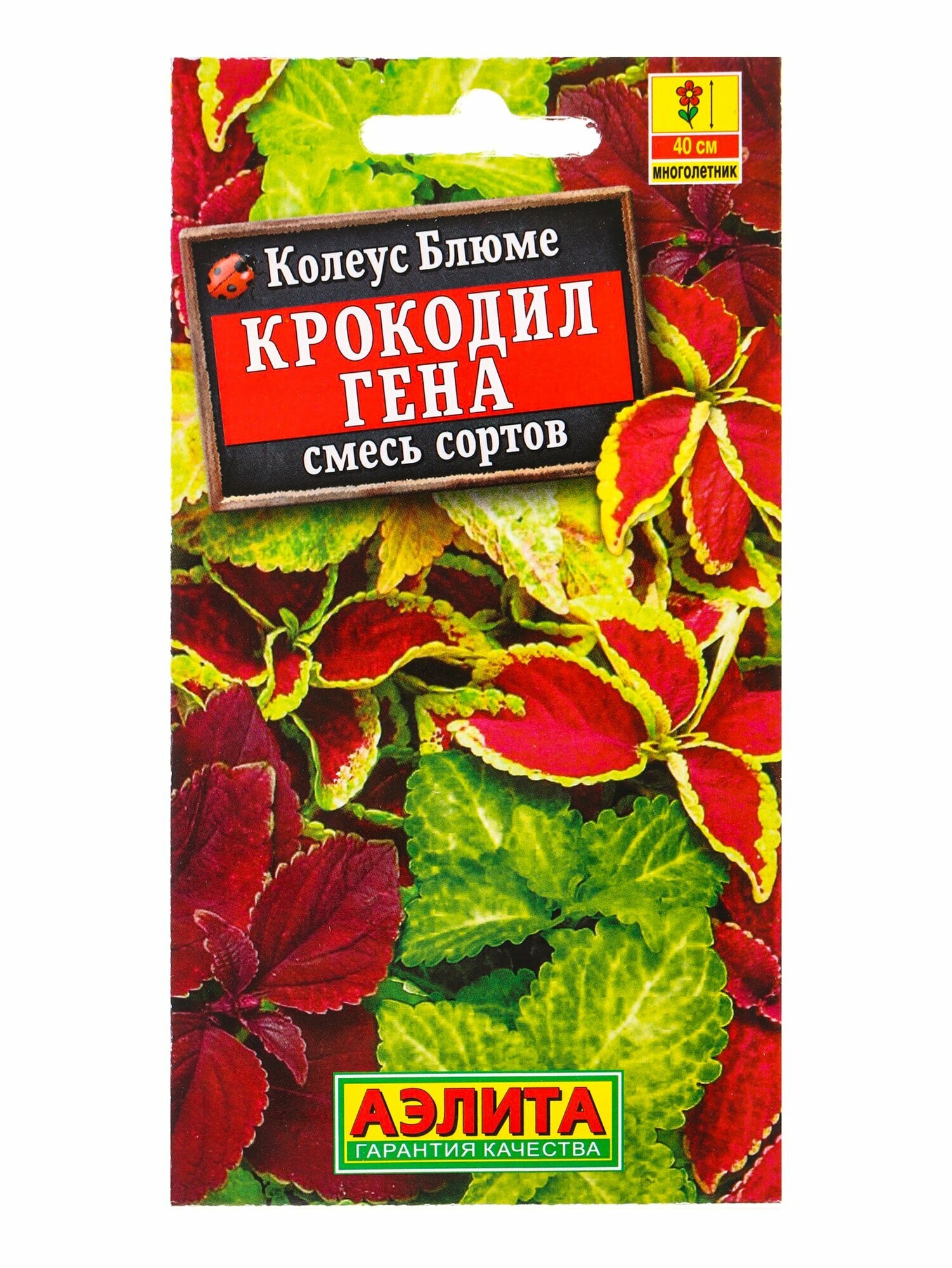 Семена цветов Колеус Блюме Визард «Крокодил Гена» смесь, 0.05 г