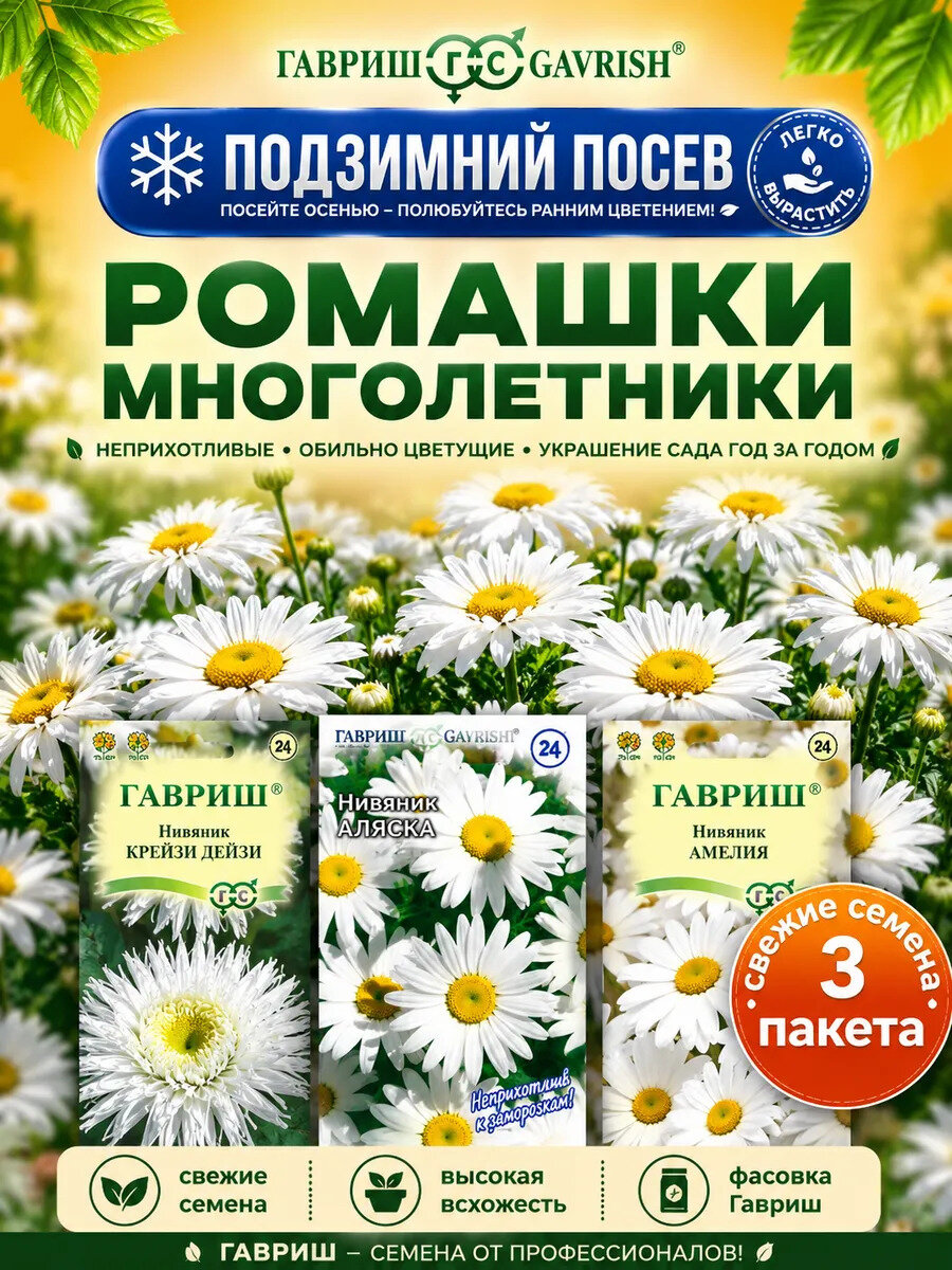 Нивяник ромашка садовая крупная многолетняя семена 3 пакета