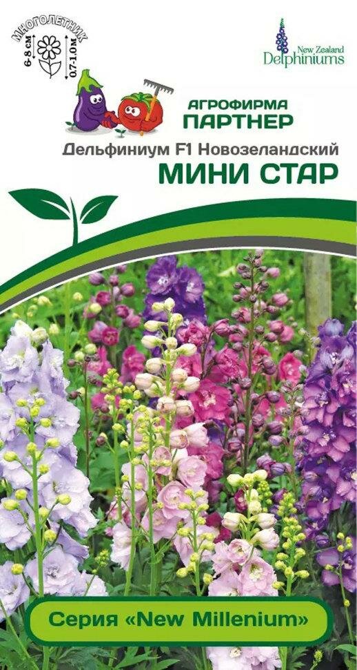 Семена дельфиниума партнер Мини стар, многолетний, махровая, полумахровая, 3 шт