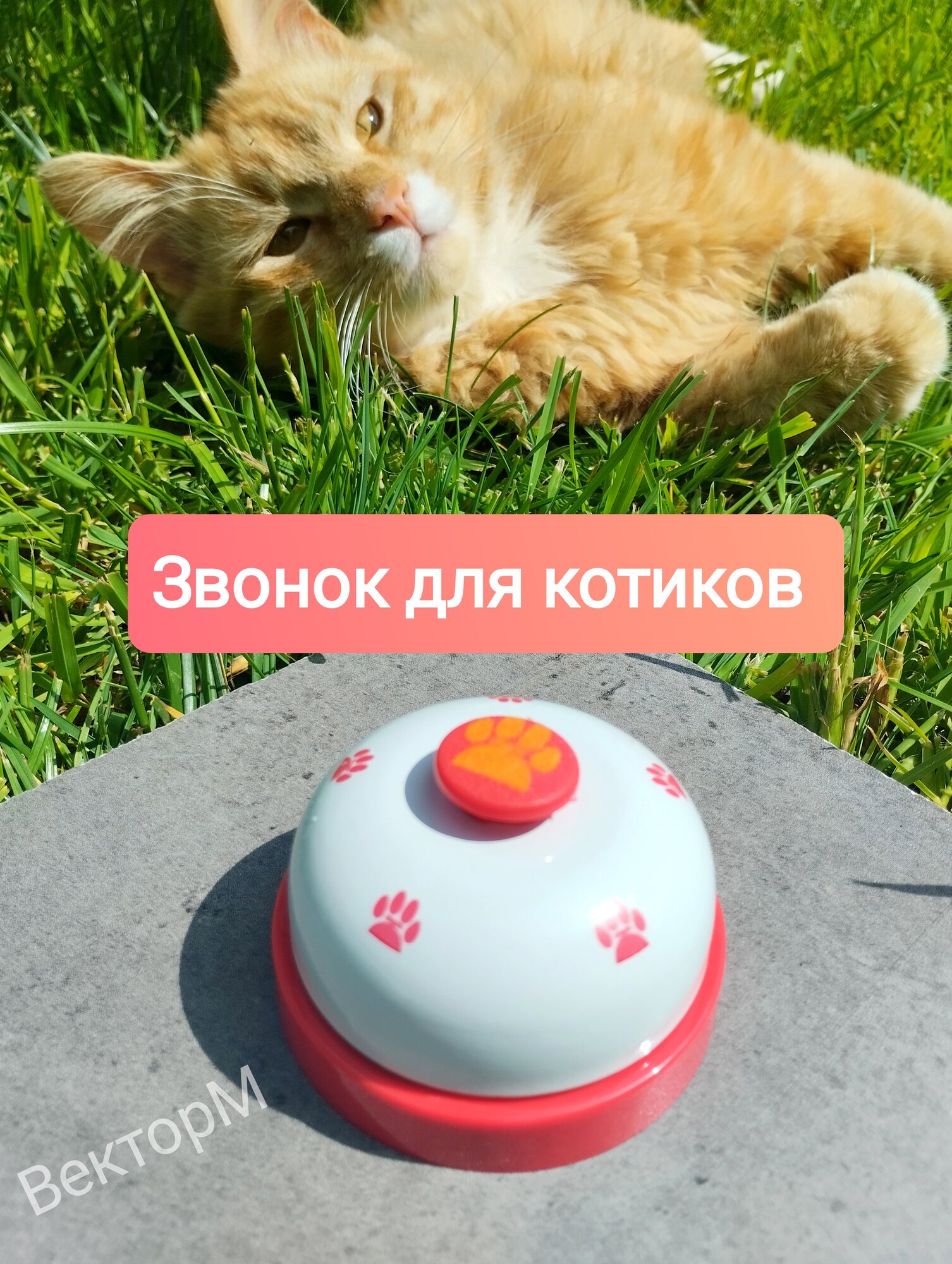 Колокольчик-звонок для кошек и собак.