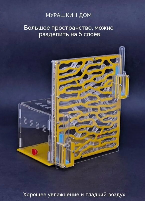 Большой XXL Вертикальный Формикарий для муравьёв