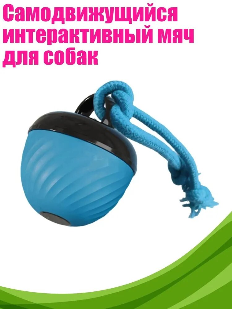 Самодвижущийся интерактивный мяч для собак, Синий