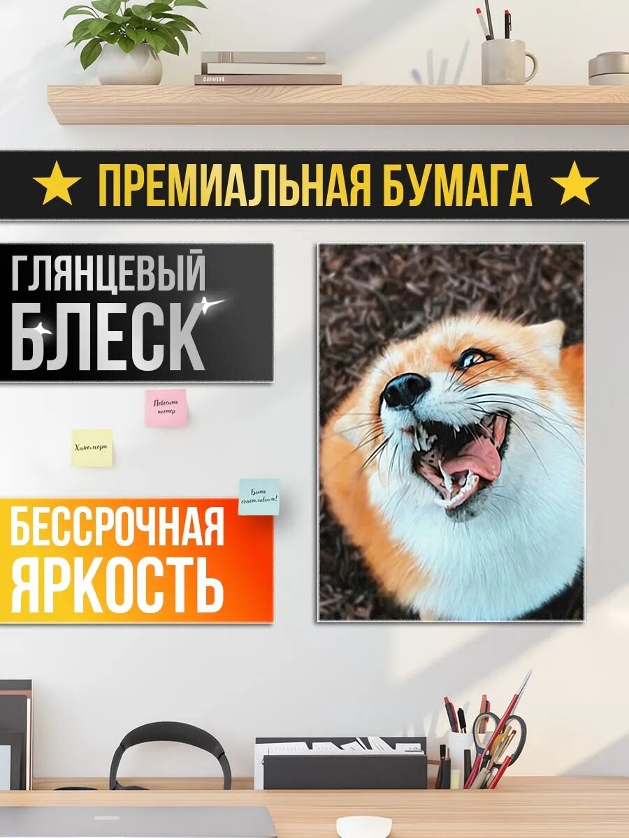 Постер на стену Довольная лиса — фото 1