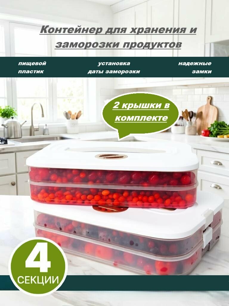 Контейнер для хранения и заморозки ягод, пельменей, 4 секции