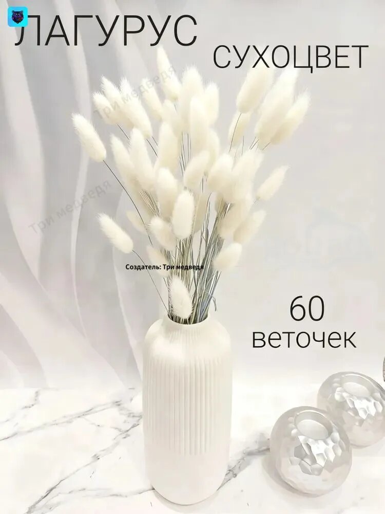 Сухоцветы Лагурус, 55 см, 100 гр, 60 шт