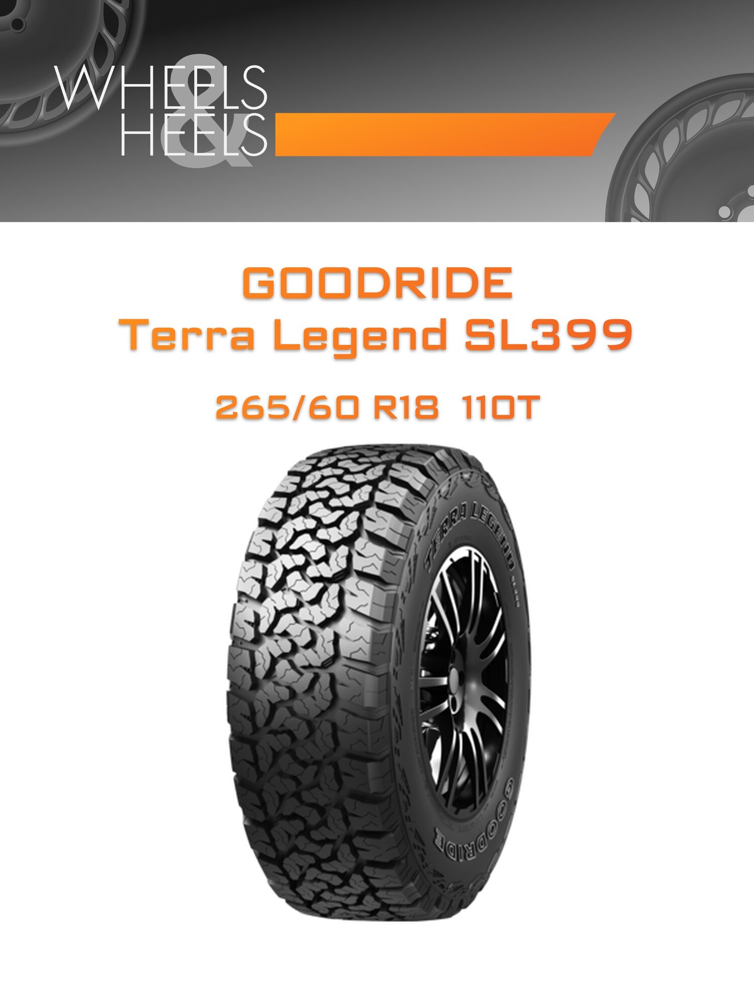 Шина автомобильная Goodride Terra Legend SL399 265/60 R18 110T SUMMER, летняя, универсальная