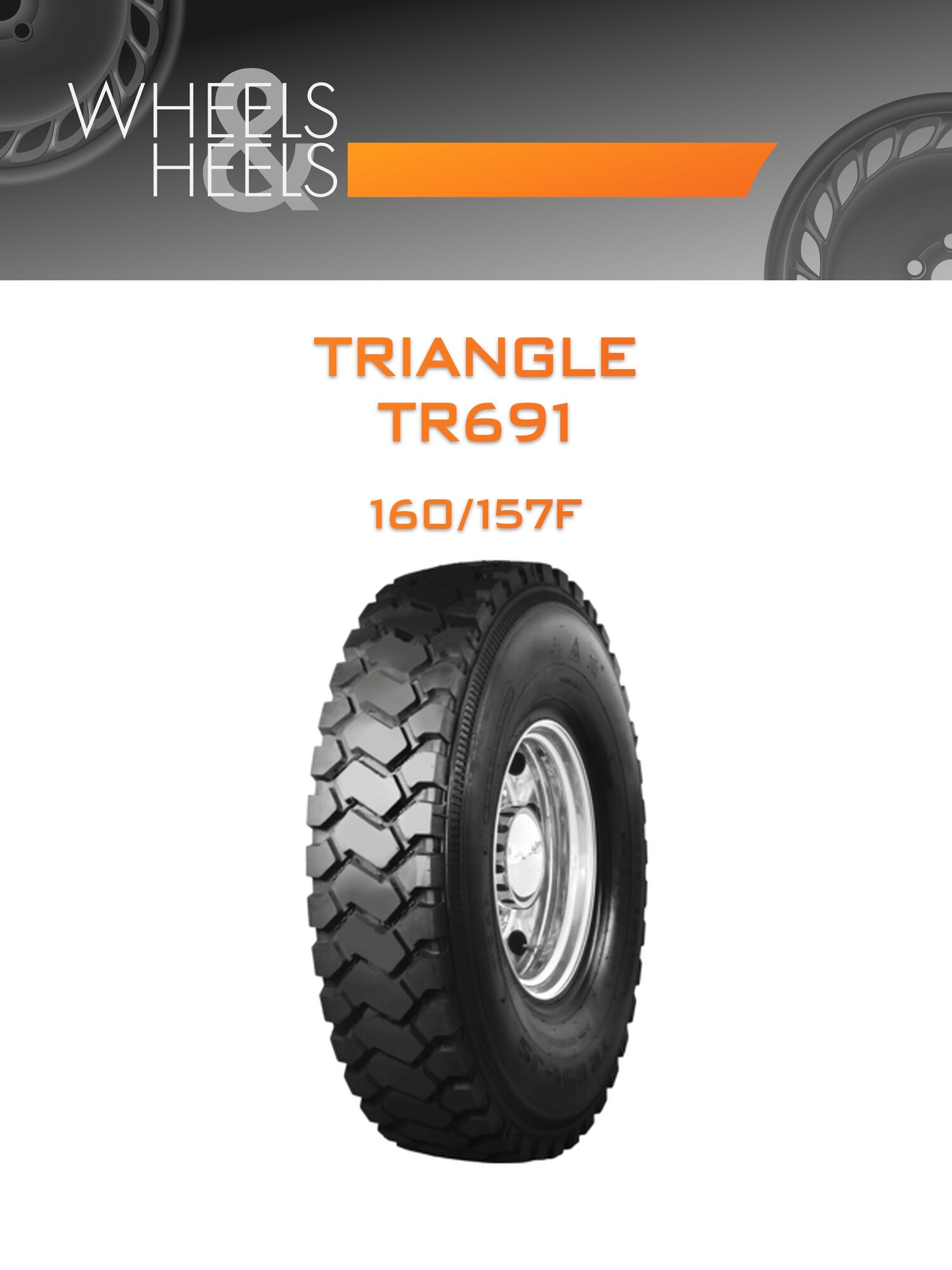 Шина автомобильная Triangle TR691 12/0 R24 160/157F ALLSEASON, всесезонная, универсальная