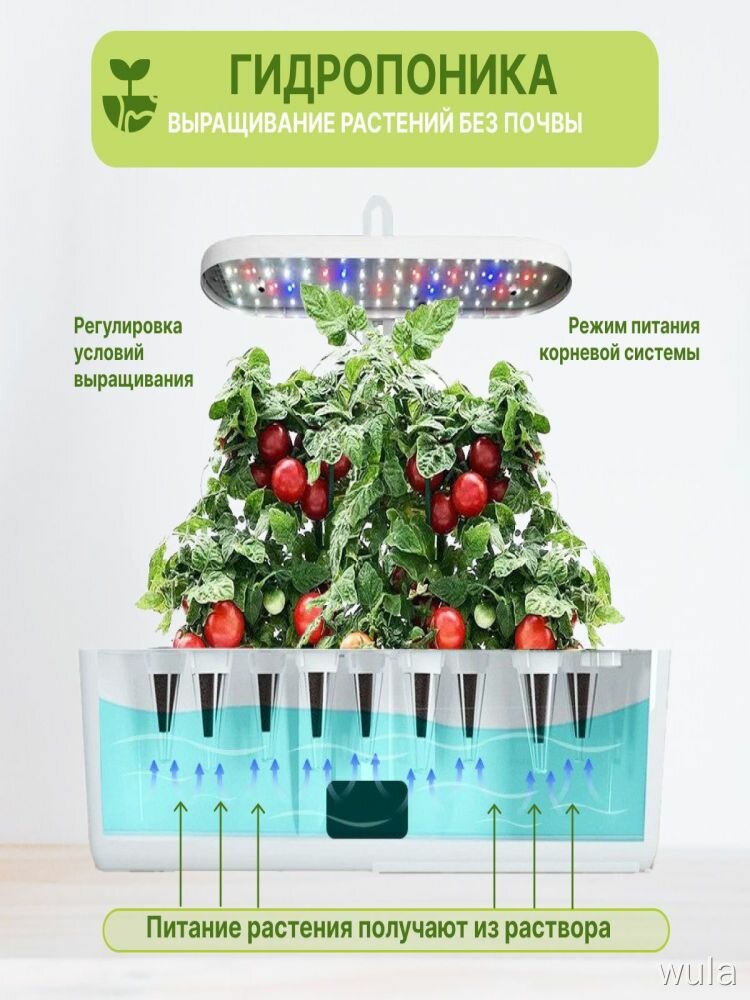 Умный сад wula LED подсветка выращивание зелени и помидоров 2L круглый год для дома гидропоника — фото 1