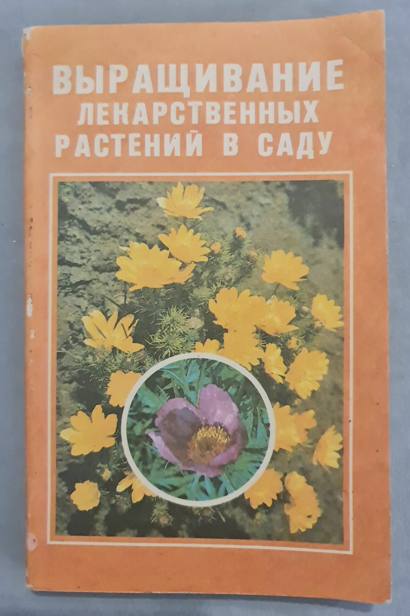 Тюрина Е, Израильсон В. - Выращивание лекарственных растений в саду, садоводство, редкая книга,1992