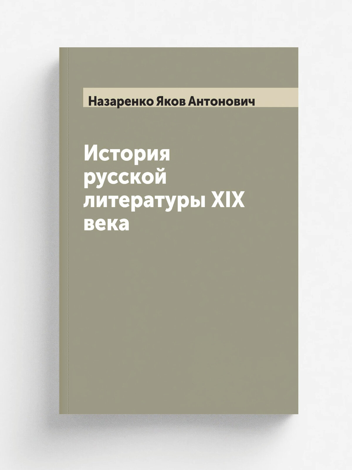 История русской литературы XIX века
