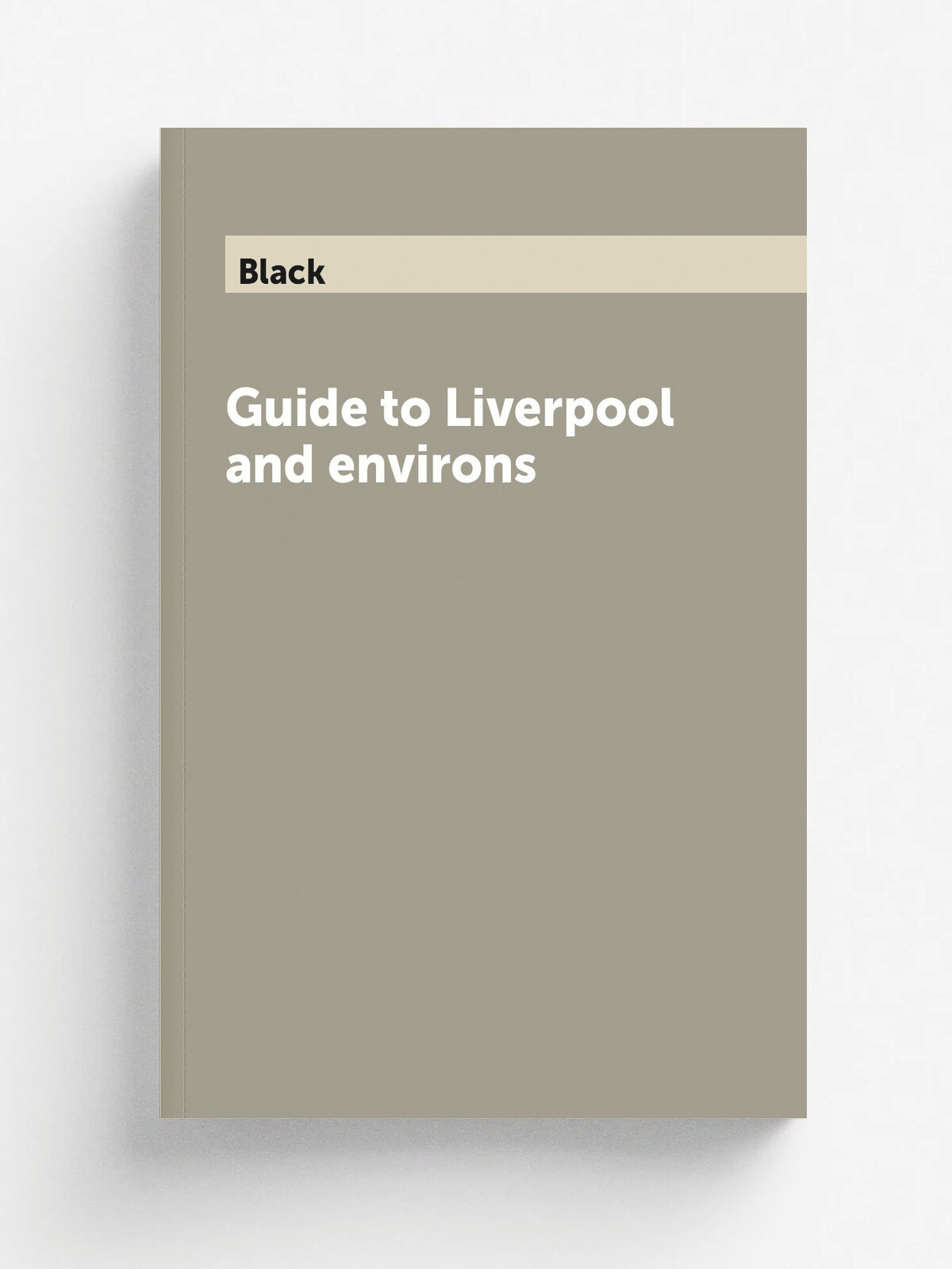 Guide to Liverpool and environs
