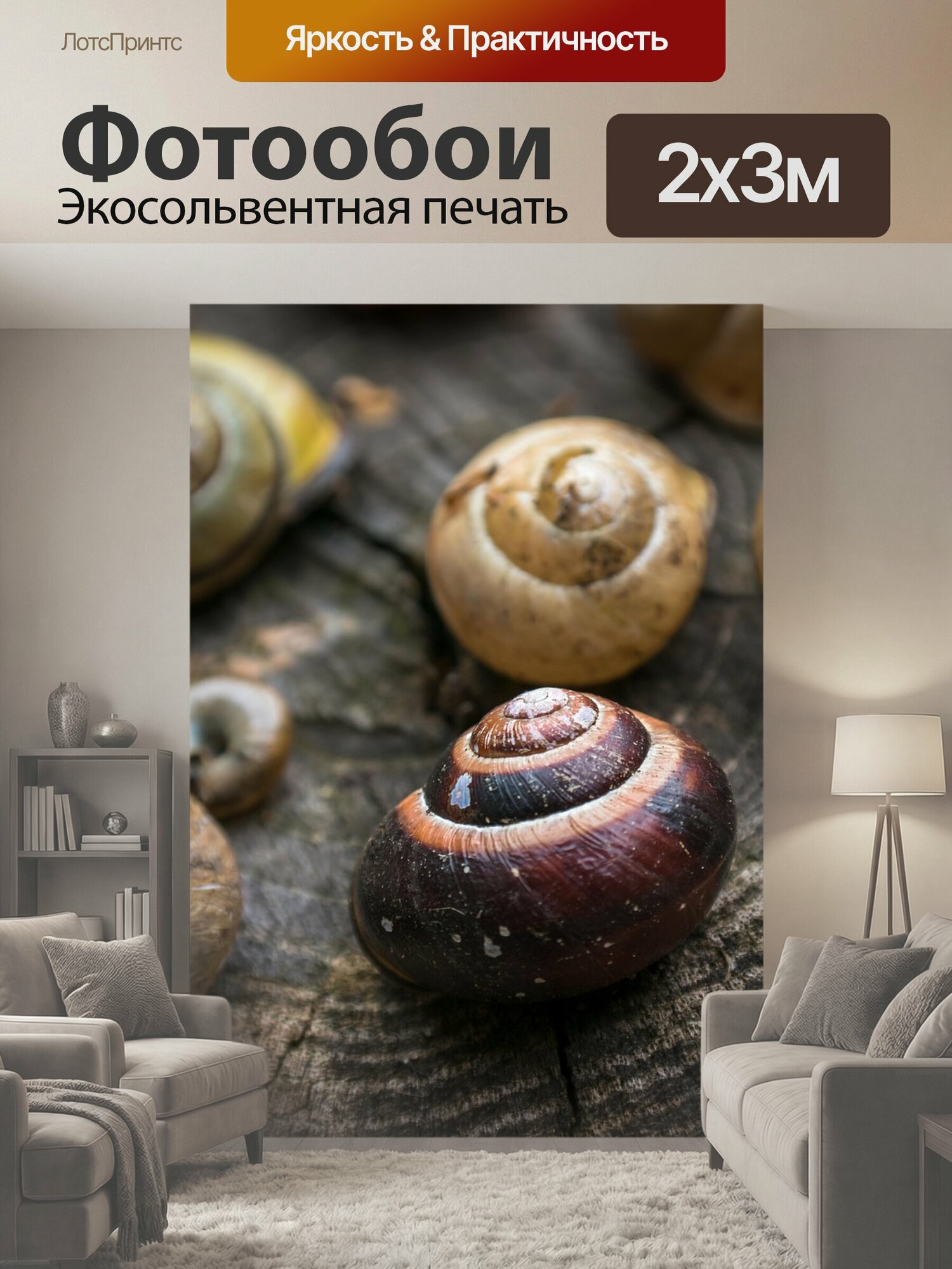 Фотообои "Оболочка, улитка, дом" 200x300 см. экосольвентная печать