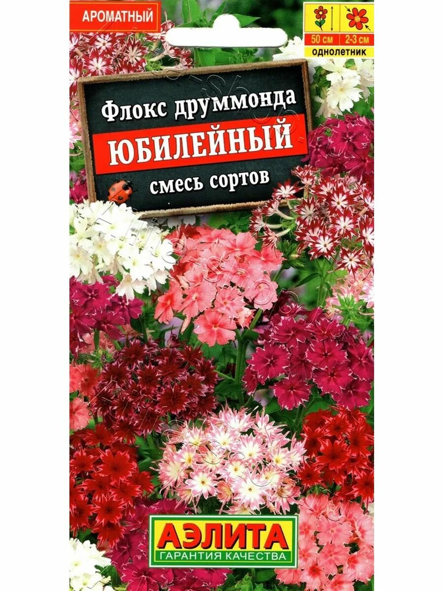 Семена "Флокс Юбилейный, смесь окрасок"