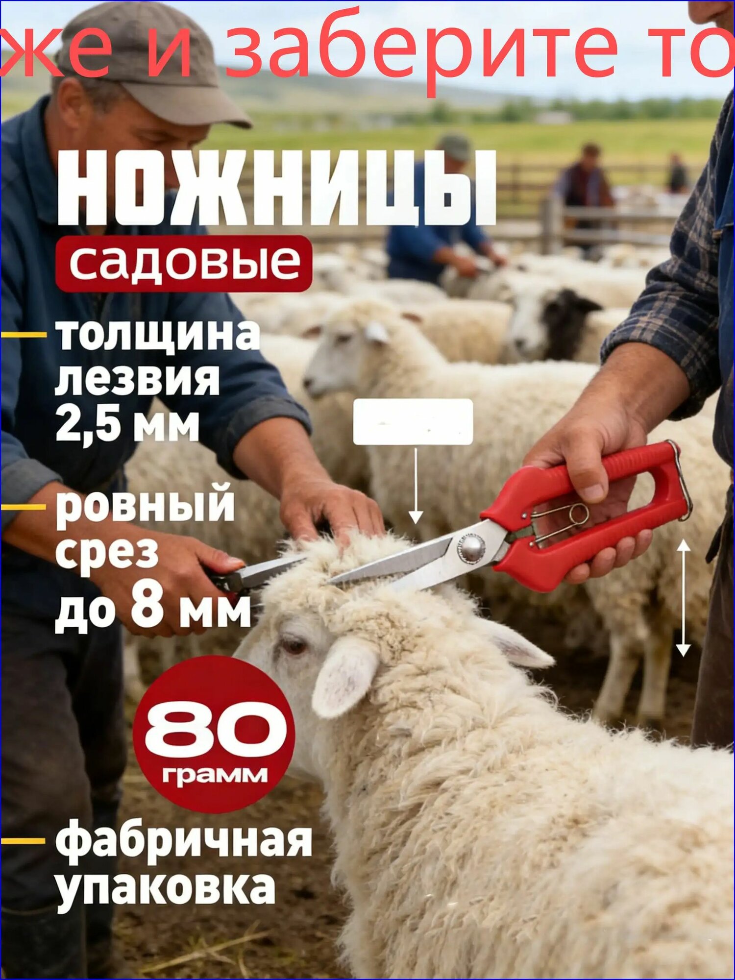 Садовые ножницы, лезвиеНержавеющая сталь, Ножницы садовые, 1