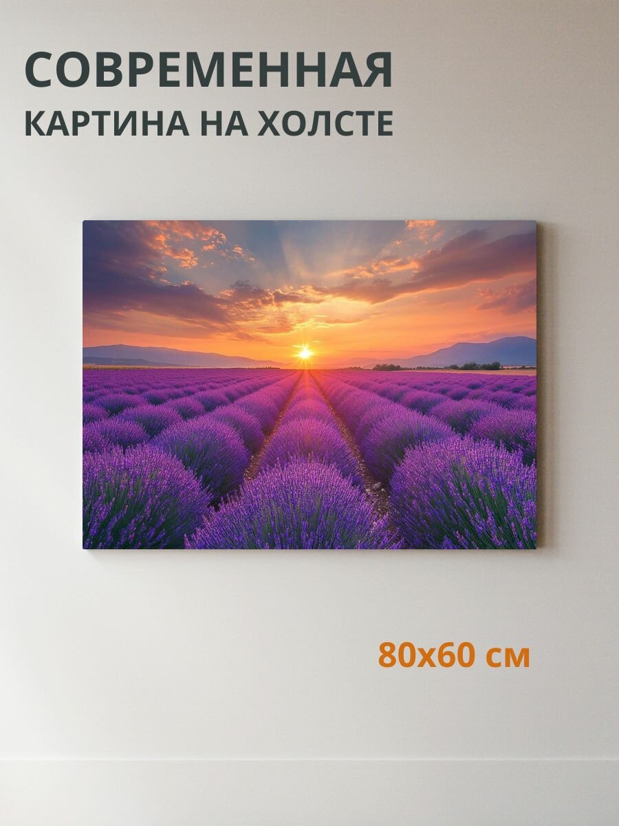 Картина на холсте Поле 80x60 см