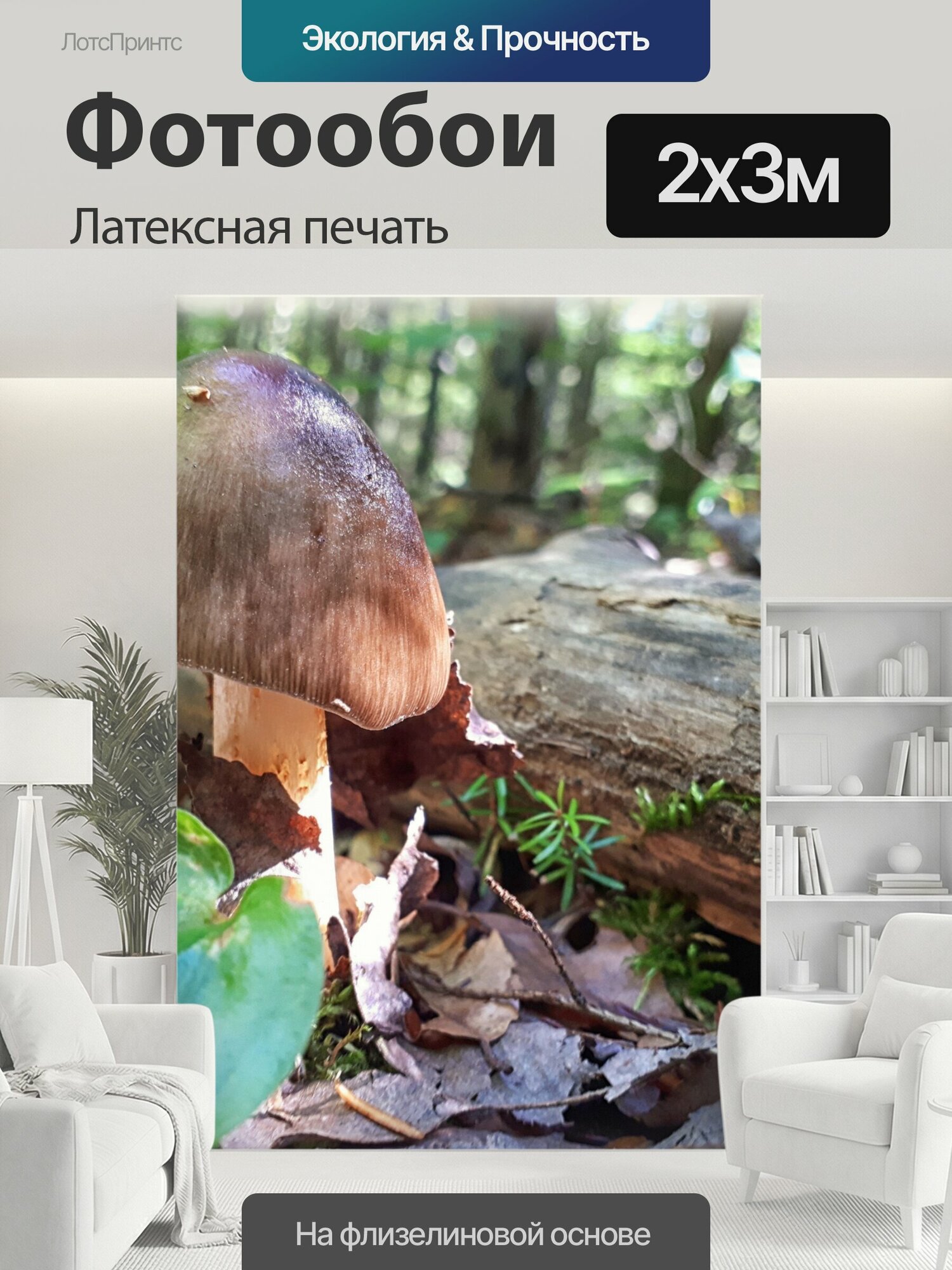 Фотообои моющиеся ударопрочные "Грибы Грибы в лесу грибы грибок лес дерево природа время года летом всеобщее достояние" 200x300 см. латексная печать